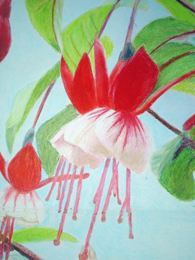 Fairy Mural: St Peters Library – Lynette Arden